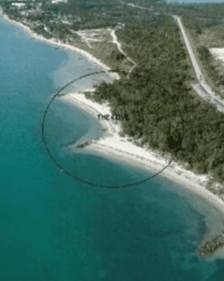 Venue Rentals | Event Spaces by Historic Virginia Key Beach Park